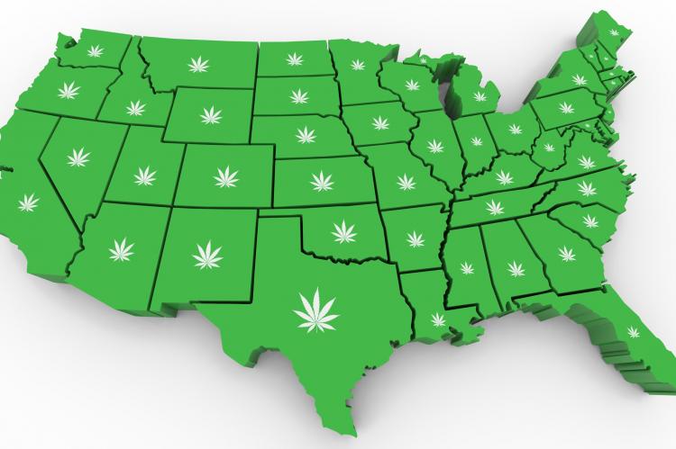Why U S Marijuana Legalization Is Likely On The Way In 2021 High Green News why-u-s-marijuana-legalization-is-likely-on-the-way-in-2021-high-green-news